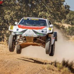 Ad Categories Rally Raid Cars