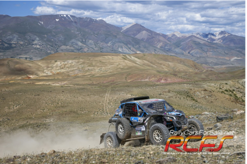 Ad Categories Rally Raid Cars