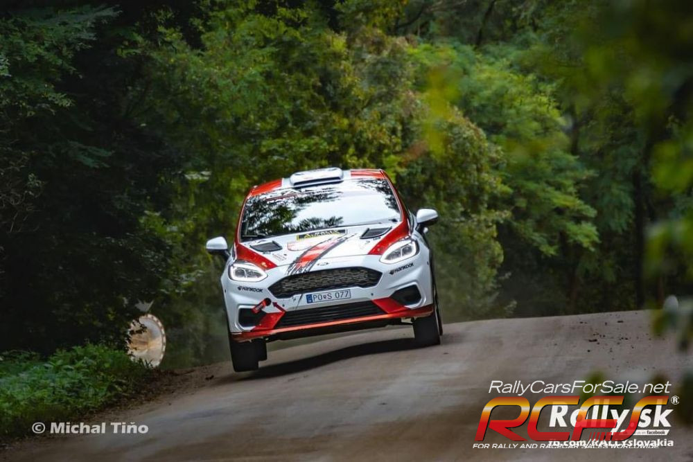 Ford Fiesta Rally 4 #154